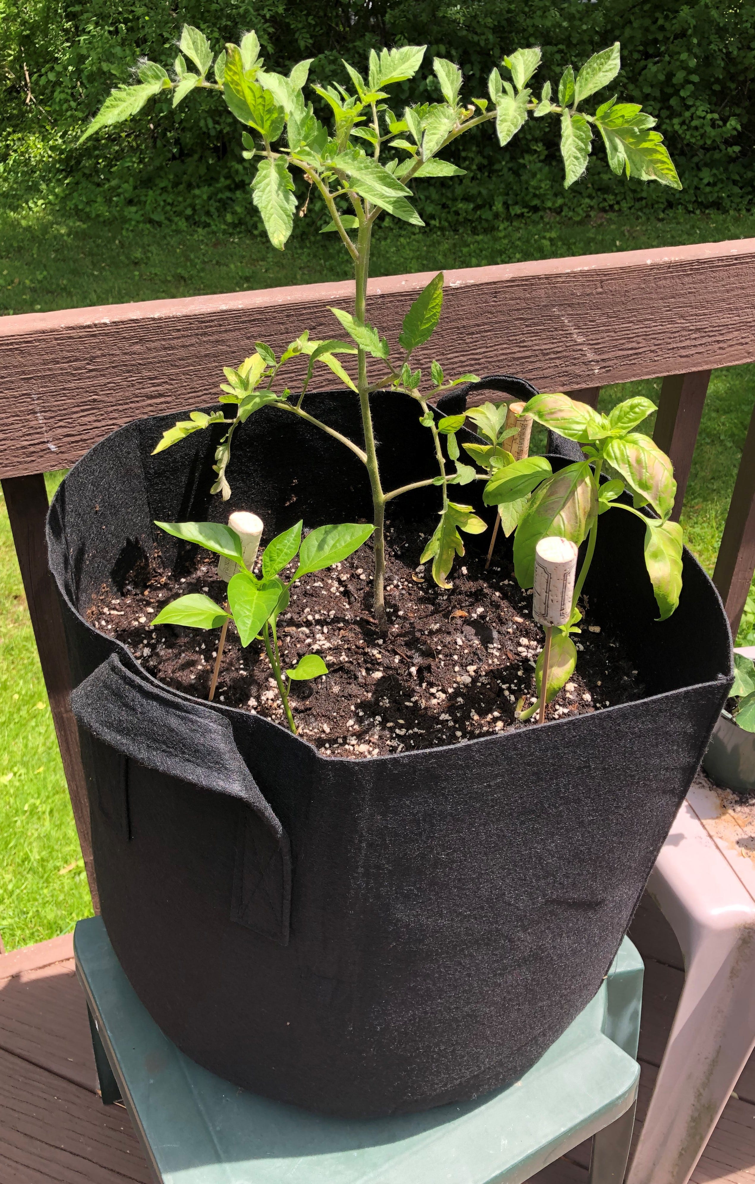 Love gardening? Ontario County’s spring garden symposium is Feb. 21