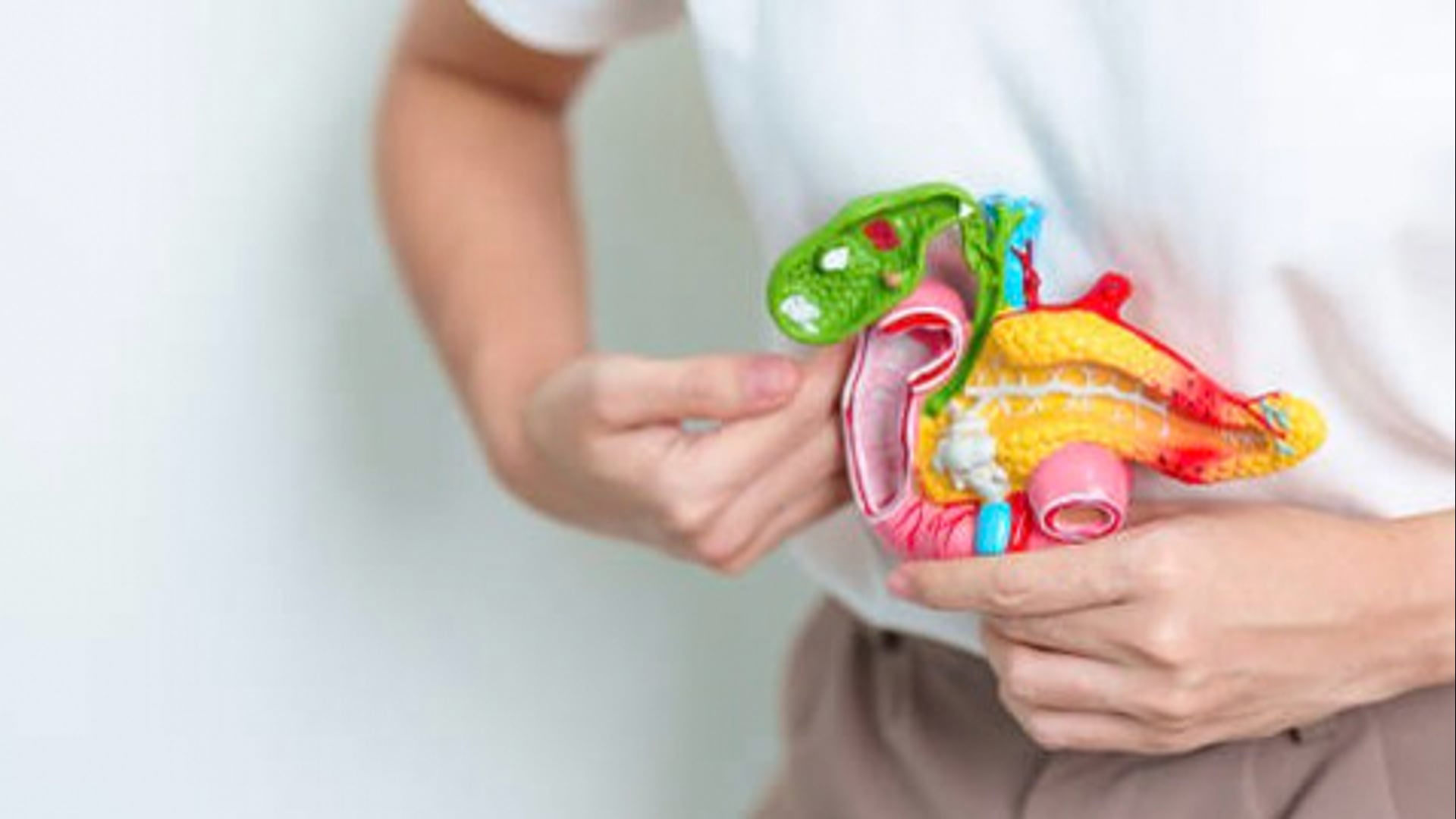 5 Signs Your Pancreas Isn’t Working Correctly 5 Signs Your Pancreas Isn’t Working Correctly