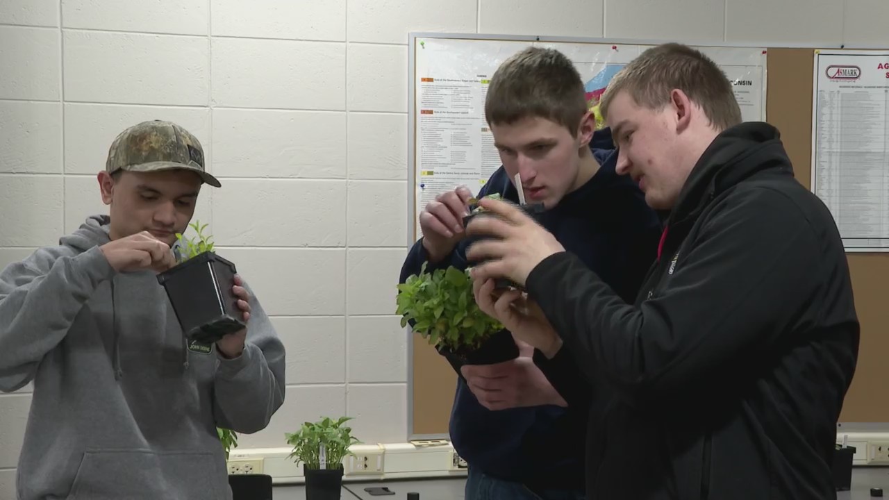 Life on the Farm: FVTC Crop Scout Training Class
