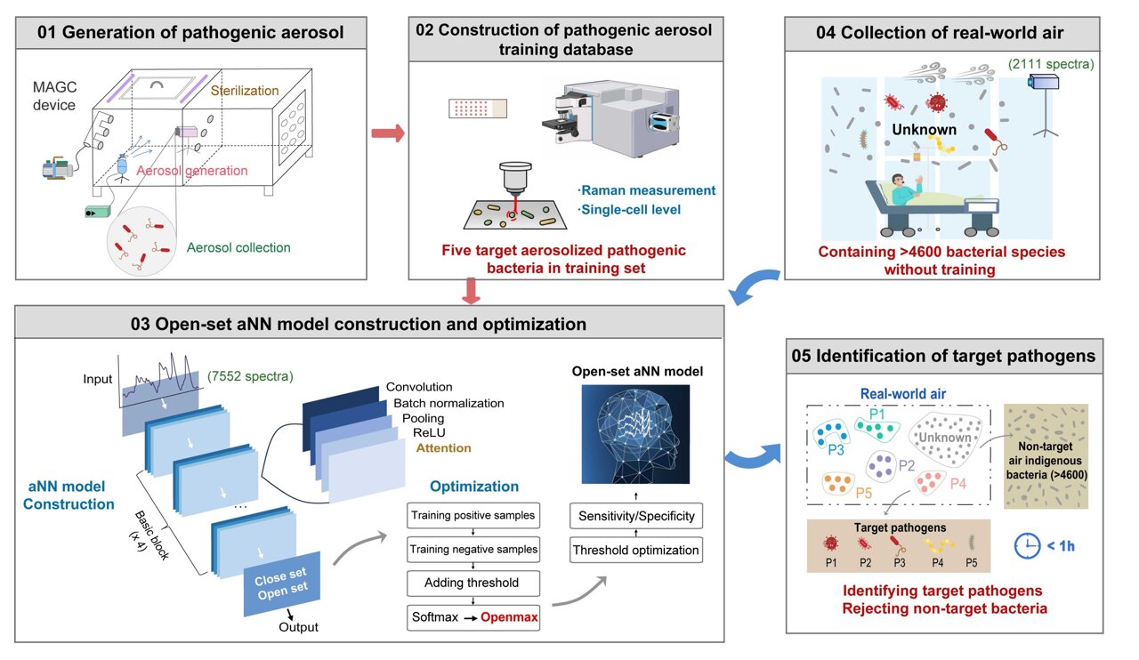 Single-cell method enables rapid identification of airborne pathogens ...