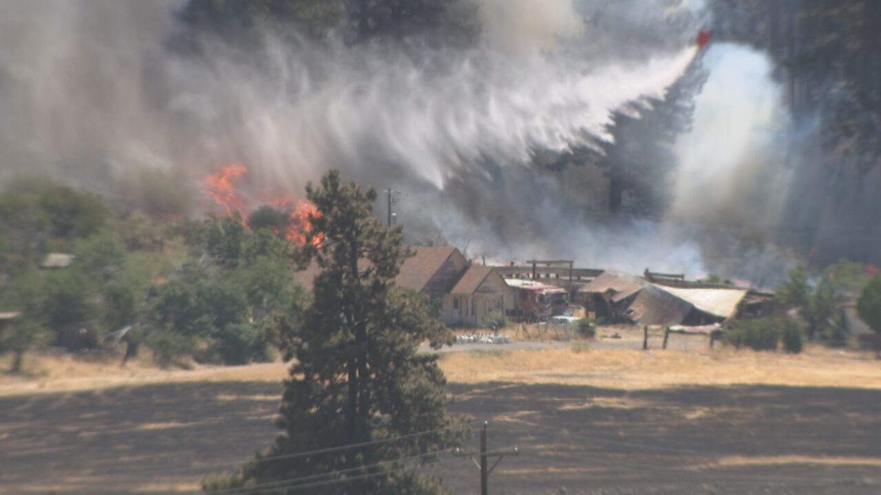 NDOT to implement lane reductions to revegetate areas affected by Gold ...