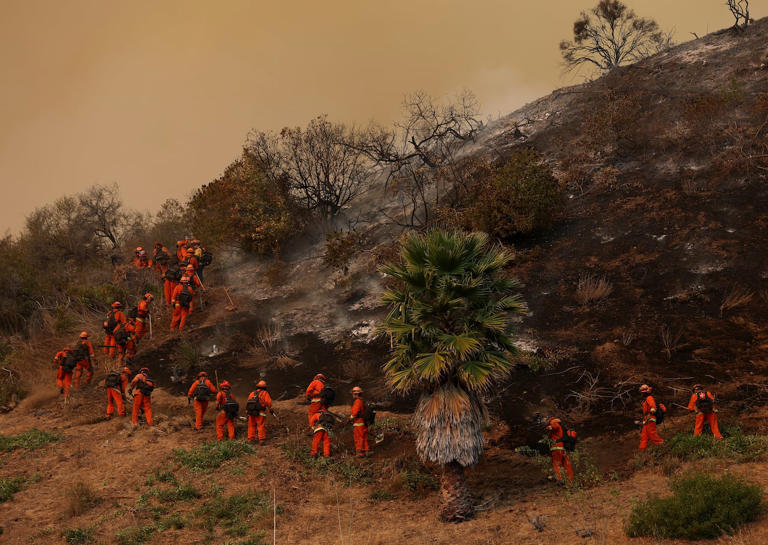 Nearly 1,000 inmates are helping to fight the L.A. wildfires. The ...
