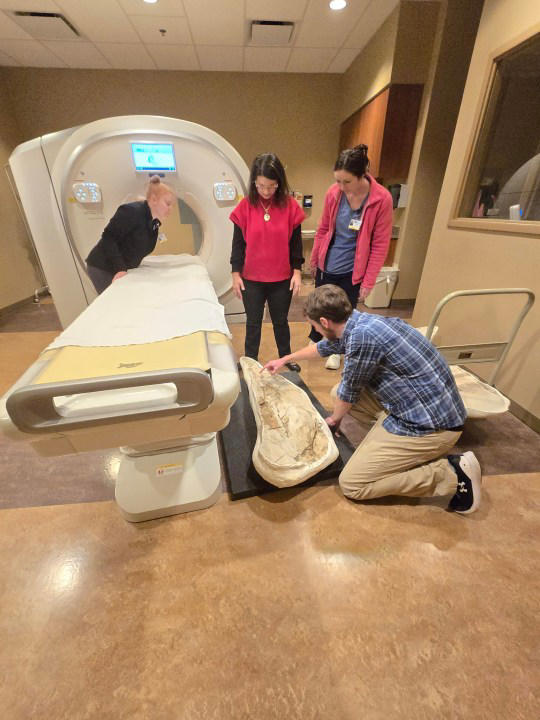 CT scans used to get closer look at rare Kansas fossils