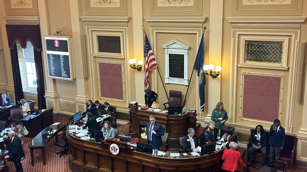 Virginia's reproductive rights amendment prompts mixed reactions from ...