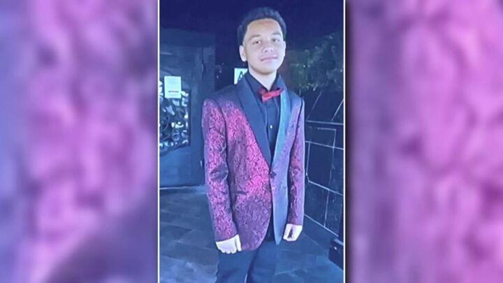 Waldo Mejia, accused in deadly stabbing of boy in the Bronx, pleads not ...