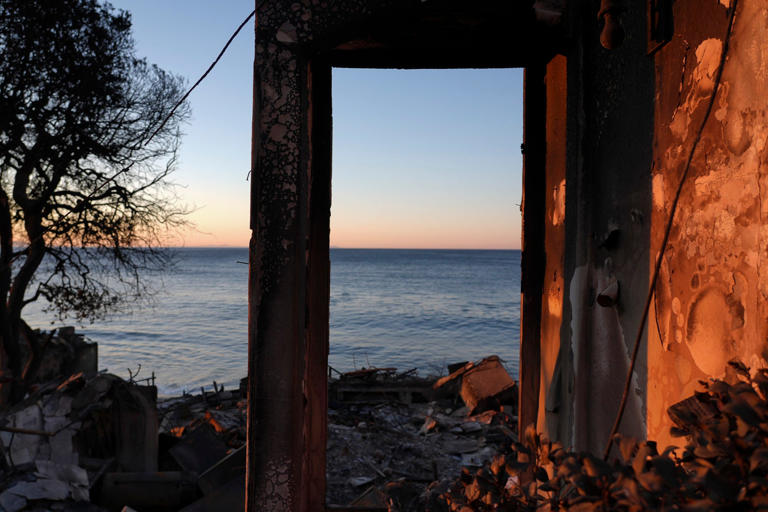 Toxic fallout from LA fires will damage both land and sea