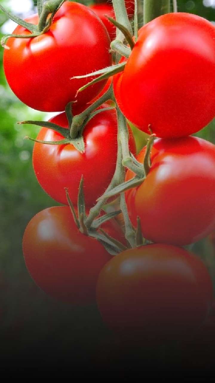 Try DIY Tomato Face Scrub For Skin Brightening