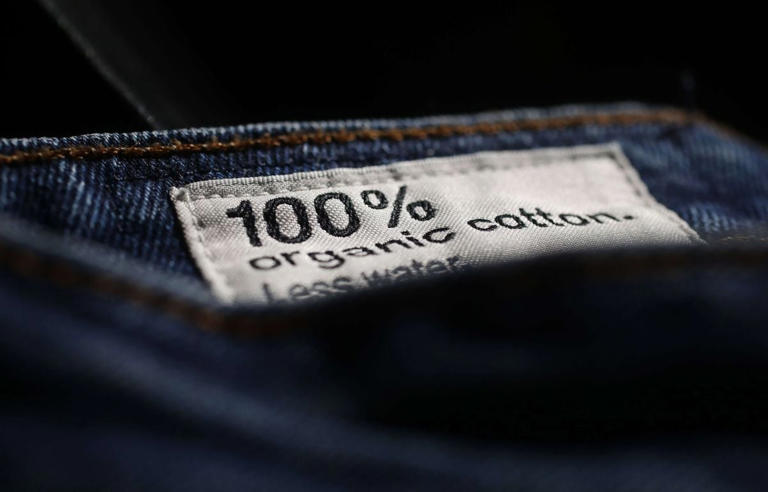 Les vêtements en coton bientôt interdits dans l’UE pour des raisons ...