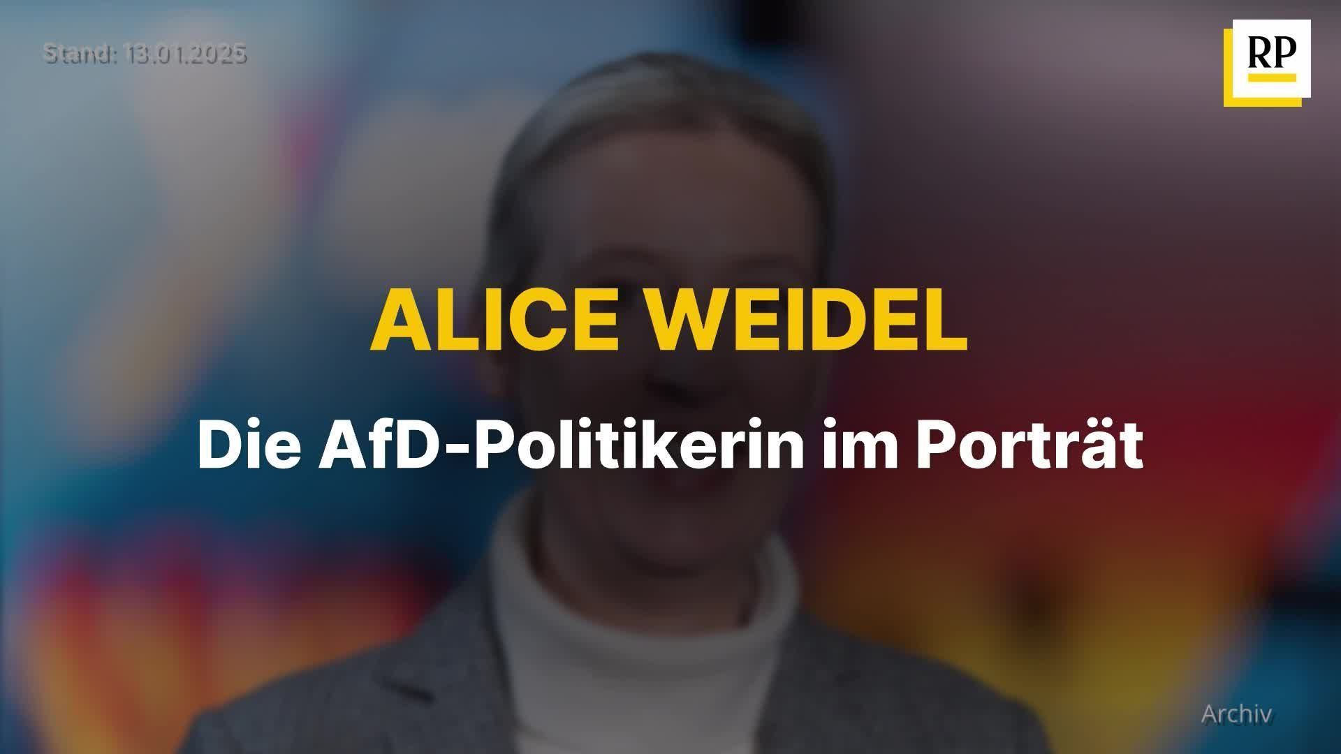 Alice Weidel: Die AfD-Politikerin im Porträt
