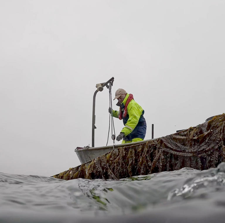 The small Scottish farm that is supplying ‘local superfood’ to top ...