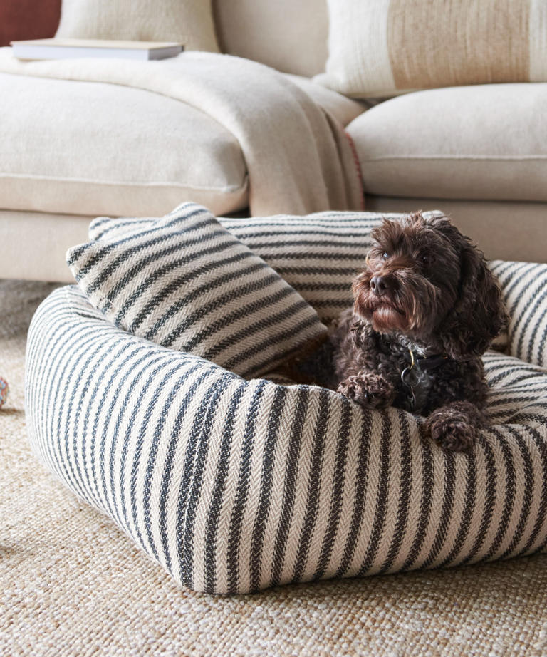 How do you get furniture dents out of carpet? These 5 small DIY fixes ...