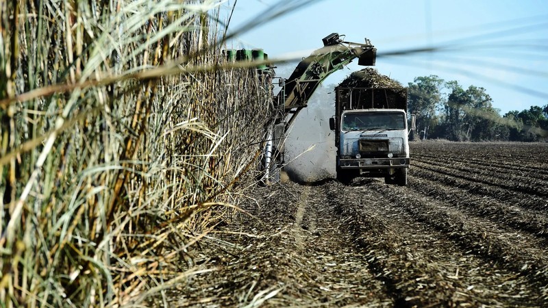 SA Canegrowers warns against job losses caused by sugar imports