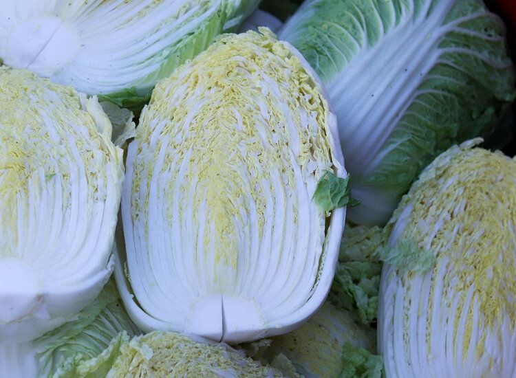 Bintik Hitam di Sawi Putih Apakah Bahaya Jika Termakan? Ini Penjelasannya