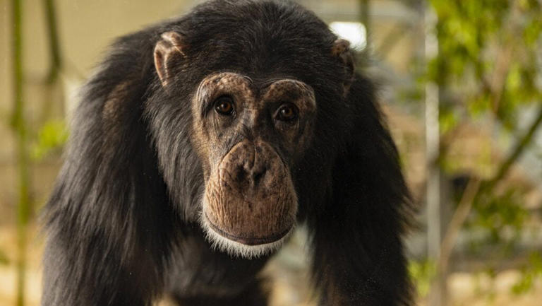 The 10 best places in the US to go with kids in 2025