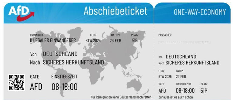Germania, l’AfD invia biglietti aerei di sola andata a 30 migranti: via ...