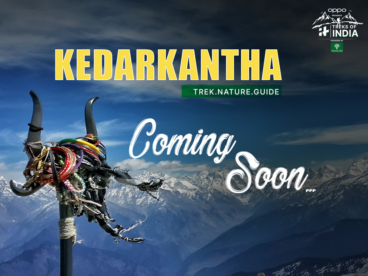 Conquering Kedarkantha Peak | Treks of India - Episode 4 Teaser Conquering Kedarkantha Peak | Treks of India - Episode 4 Teaser