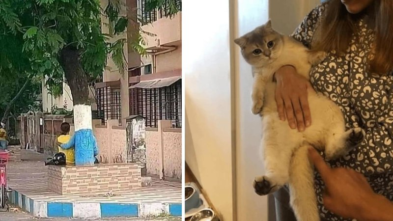 25 Confusing Optical Illusions That Are Weird To Look At