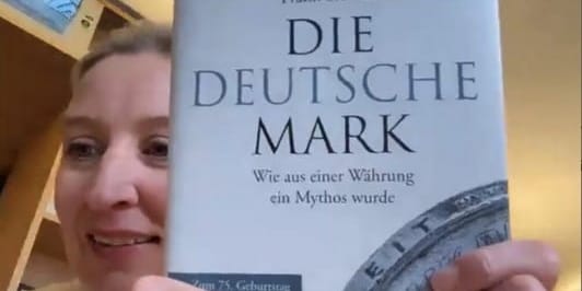 Gastbeitrag von Frank Stocker - Weidel hielt es in Kamera: Hier erklärt ...