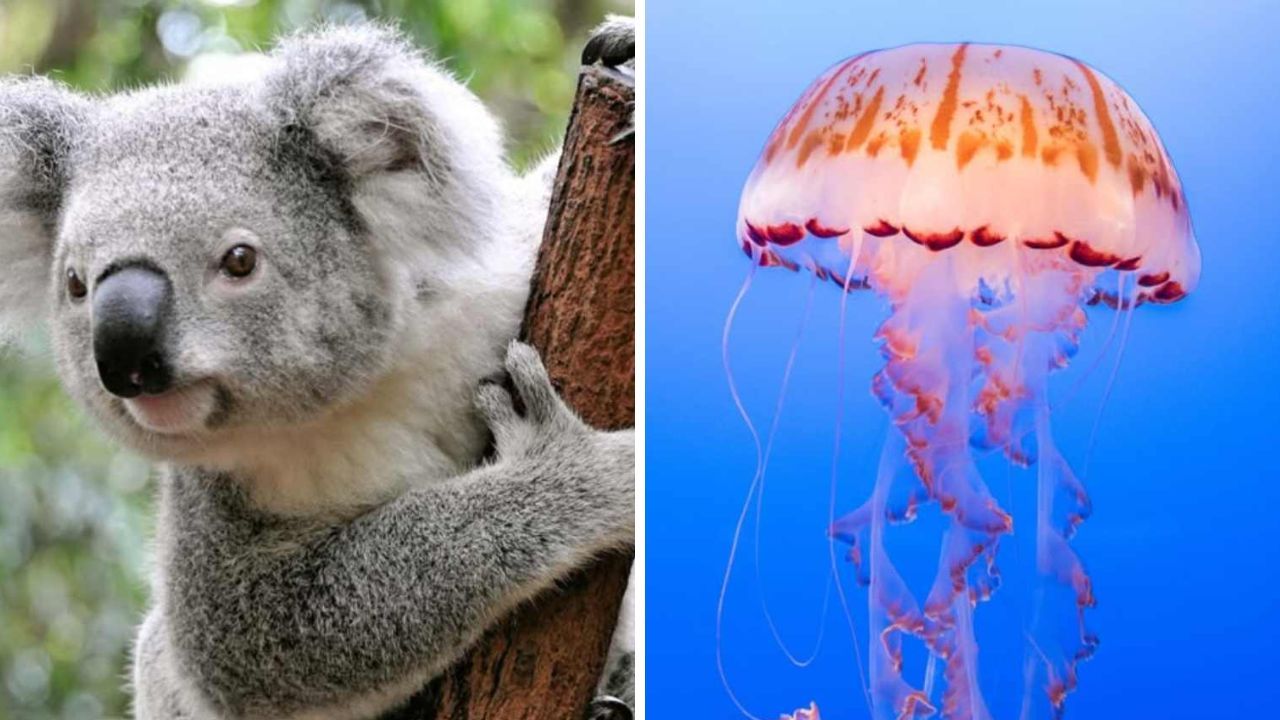 29 Awesome Trivia Facts That Will Make You the Life of the Party