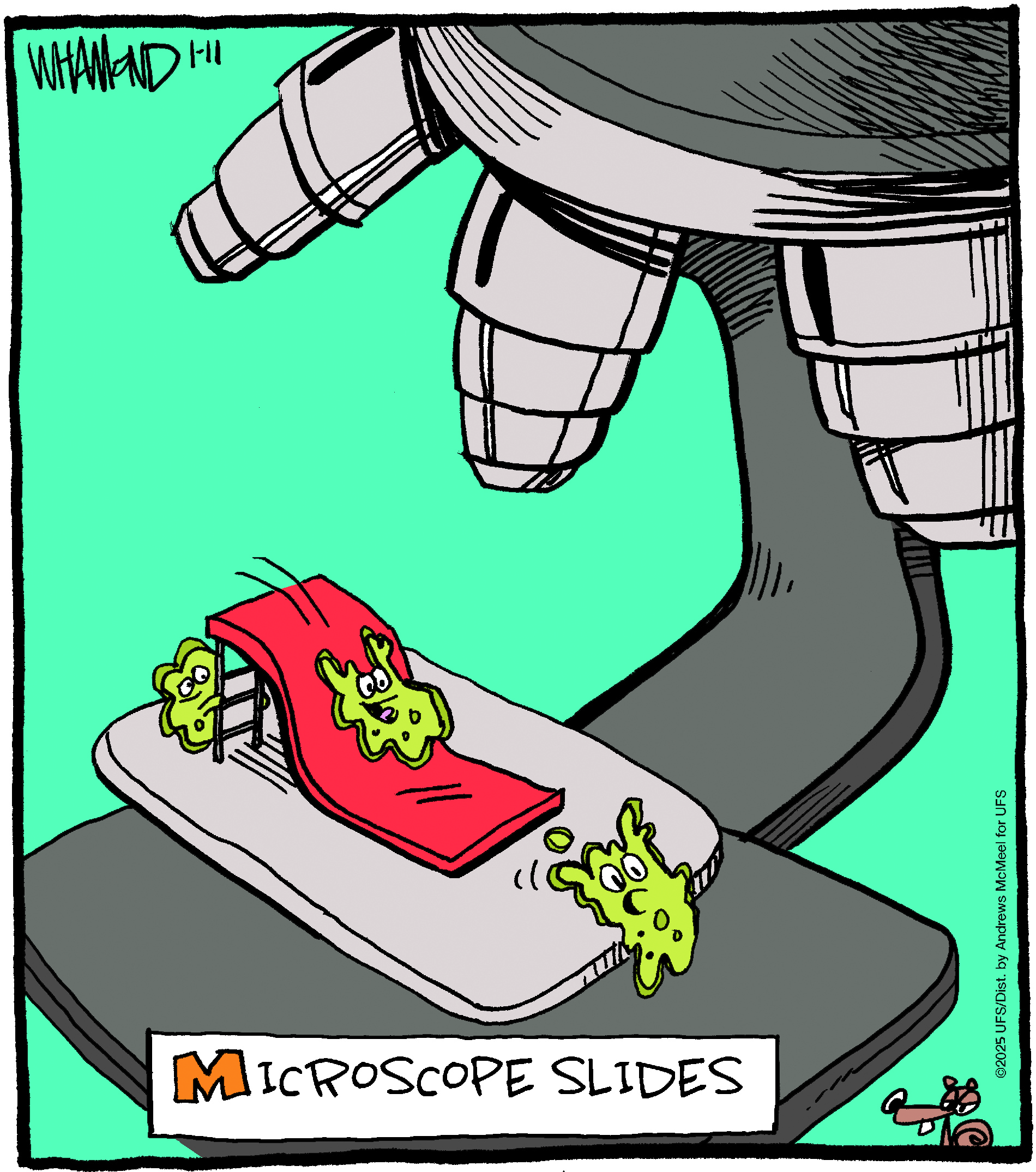 Reality Check by Dave Whamond