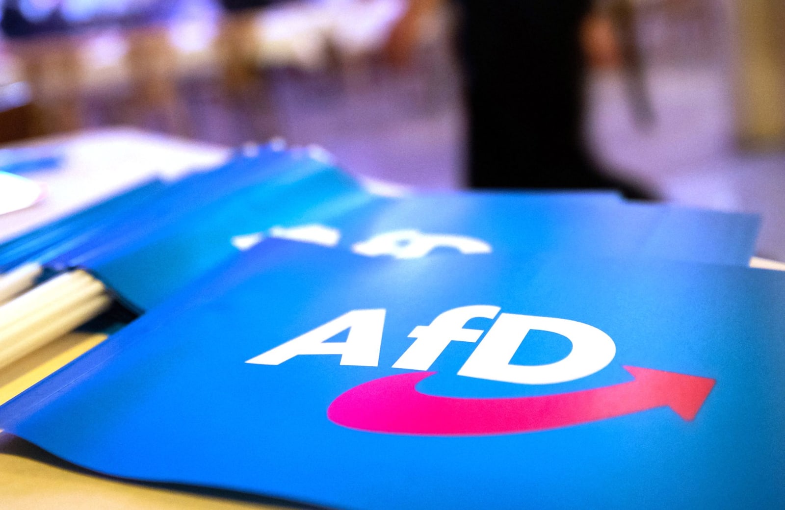 German far-right AfD mails out 'deportation ticket' campaign flyers