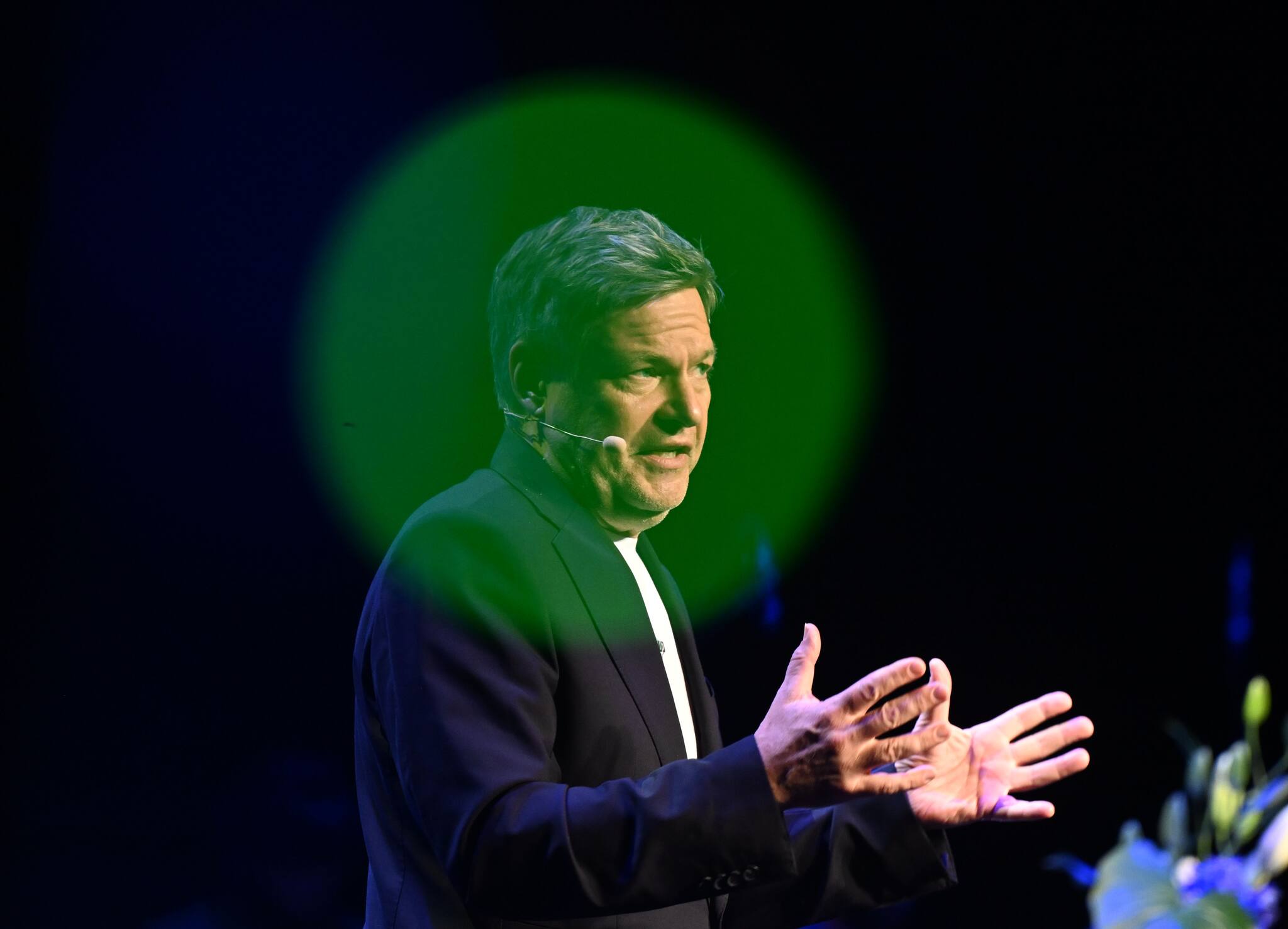 Wahlprogramm der Grünen zur Bundestagswahl 2025: Die wichtigsten Punkte ...