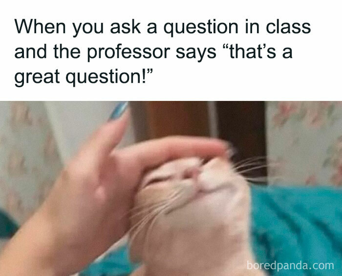 25 Funny Student Memes That Show What Life Is Like At College