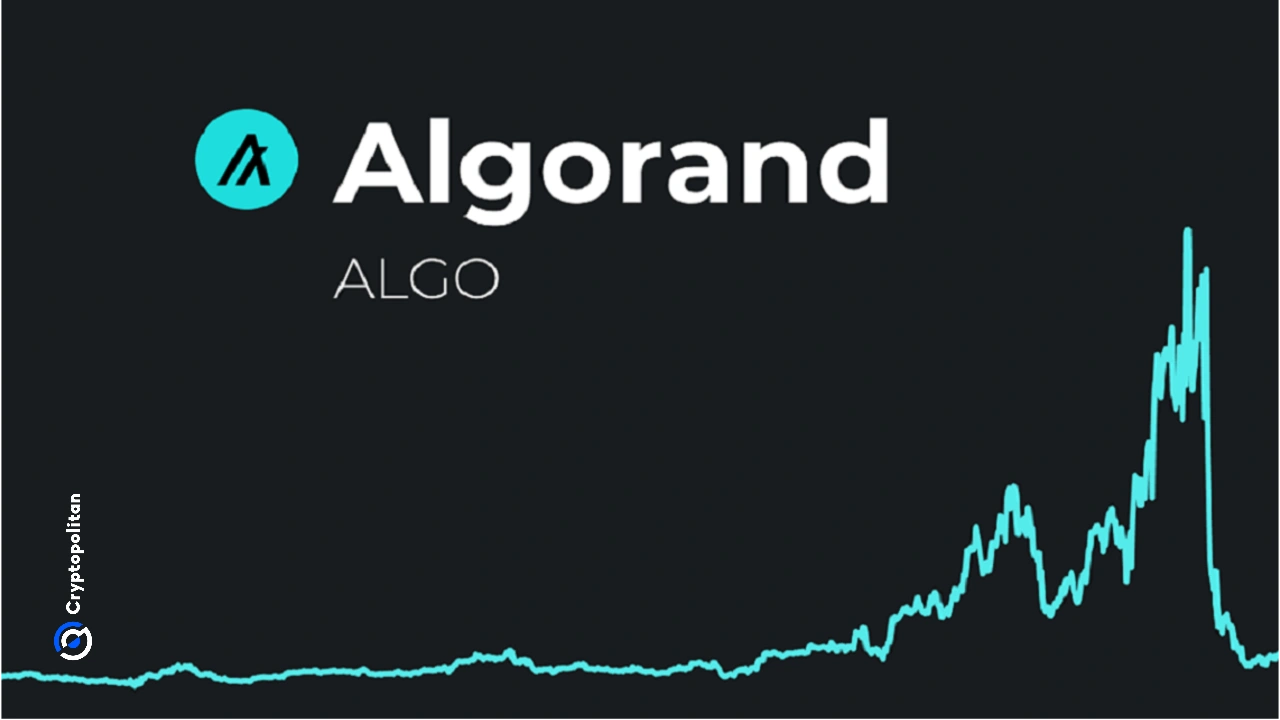 Algorand price prediction 2025-2031: Is a resurgence possible?