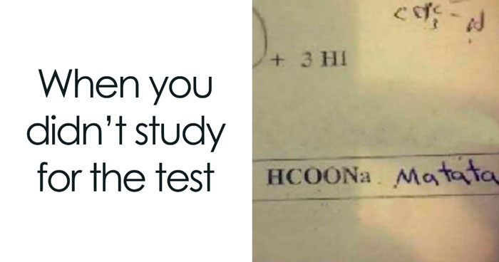 25 Funny Student Memes That Show What Life Is Like At College