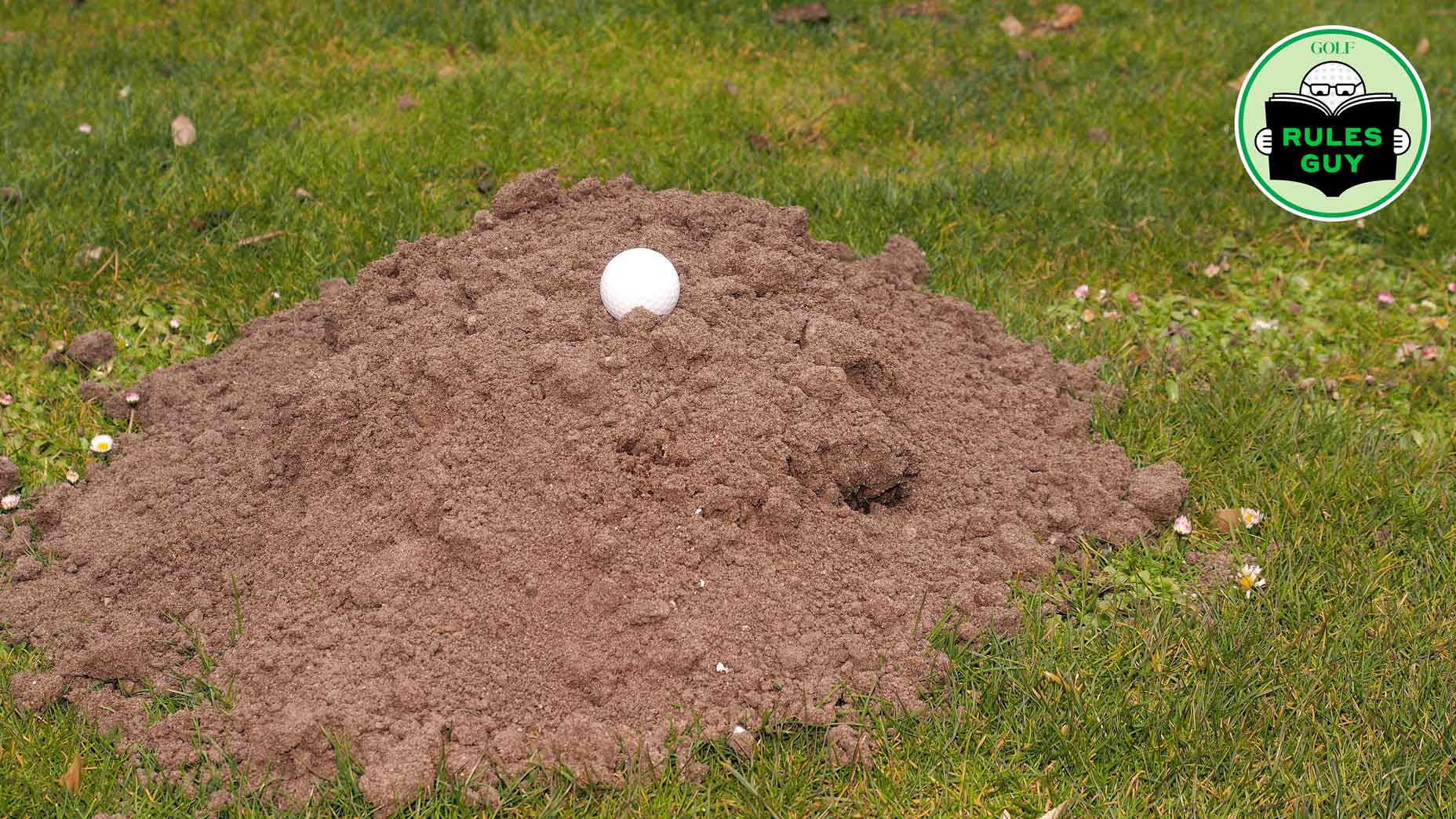Rules Guy: Can I clean the dirt off my ball if it rolls through ground ...
