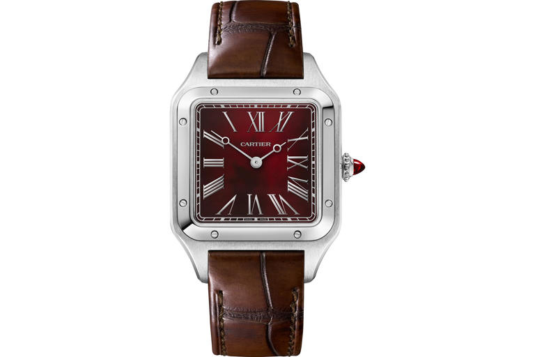 Les 15 plus belles montres rouges pour homme : Omega, Cartier, Patek ...