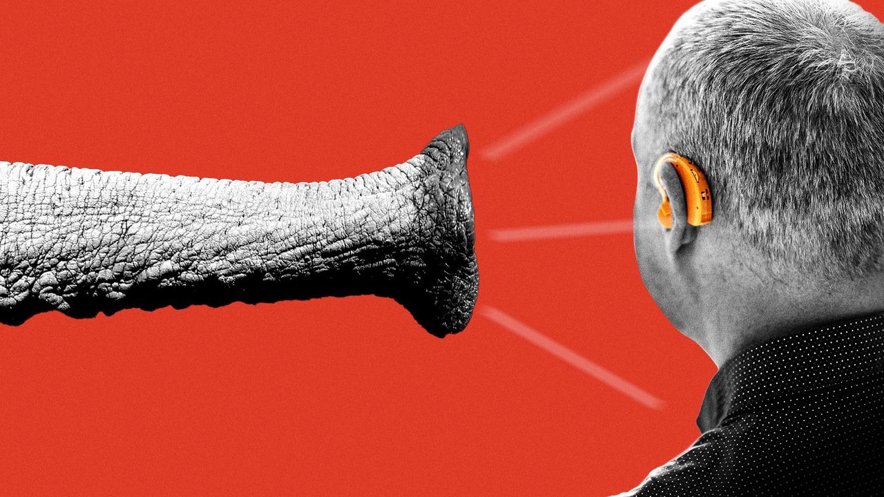 Right-wing commentators attack sign language interpreters during L.A ...