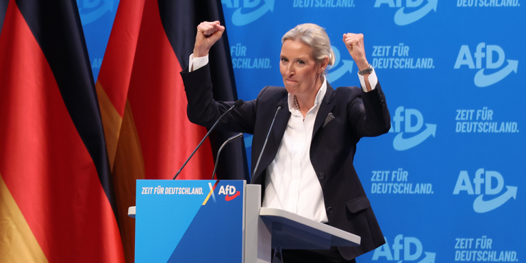 Hammer-Umfrage zeigt, wie stark die AfD wirklich ist Hammer-Umfrage zeigt, wie stark die AfD wirklich ist