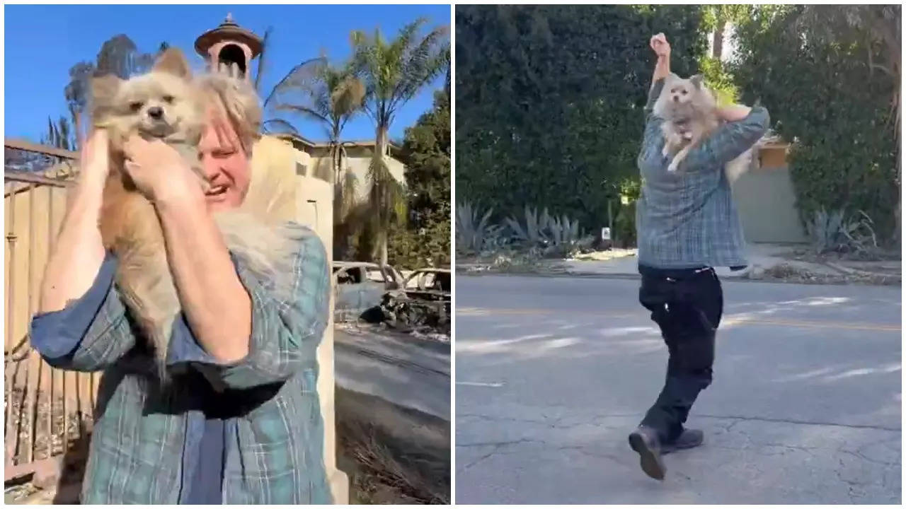 'Oh, honey, you’re alive': Man finds dog Oreo alive after 5 days in the ...