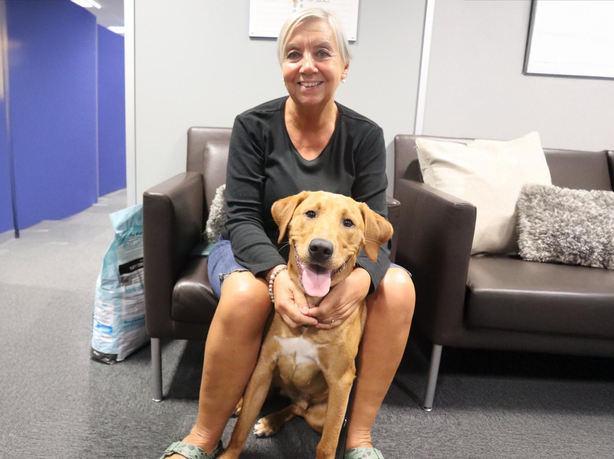 Trainee assistance dogs help volunteer couple through health ordeal