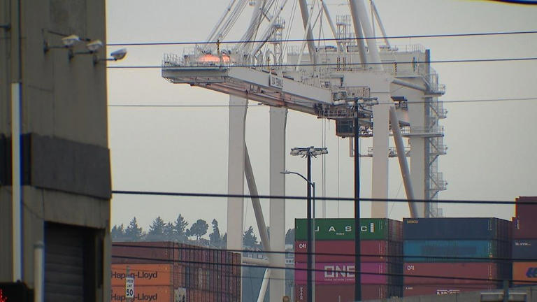 SoDo zoning change pitched for housing on proposed Seattle arena site