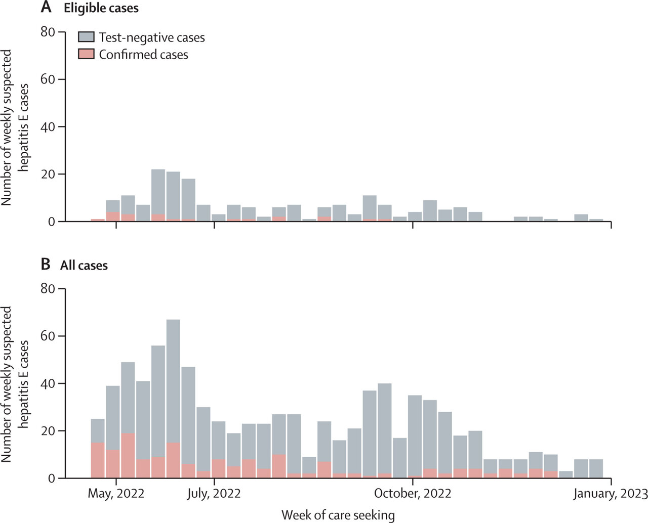 Hepatitis E vaccination found to be effective in two doses instead of three