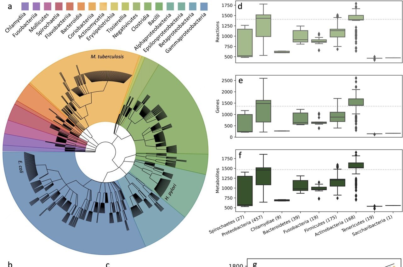 Sophisticated computer models open door to far more targeted antibiotics