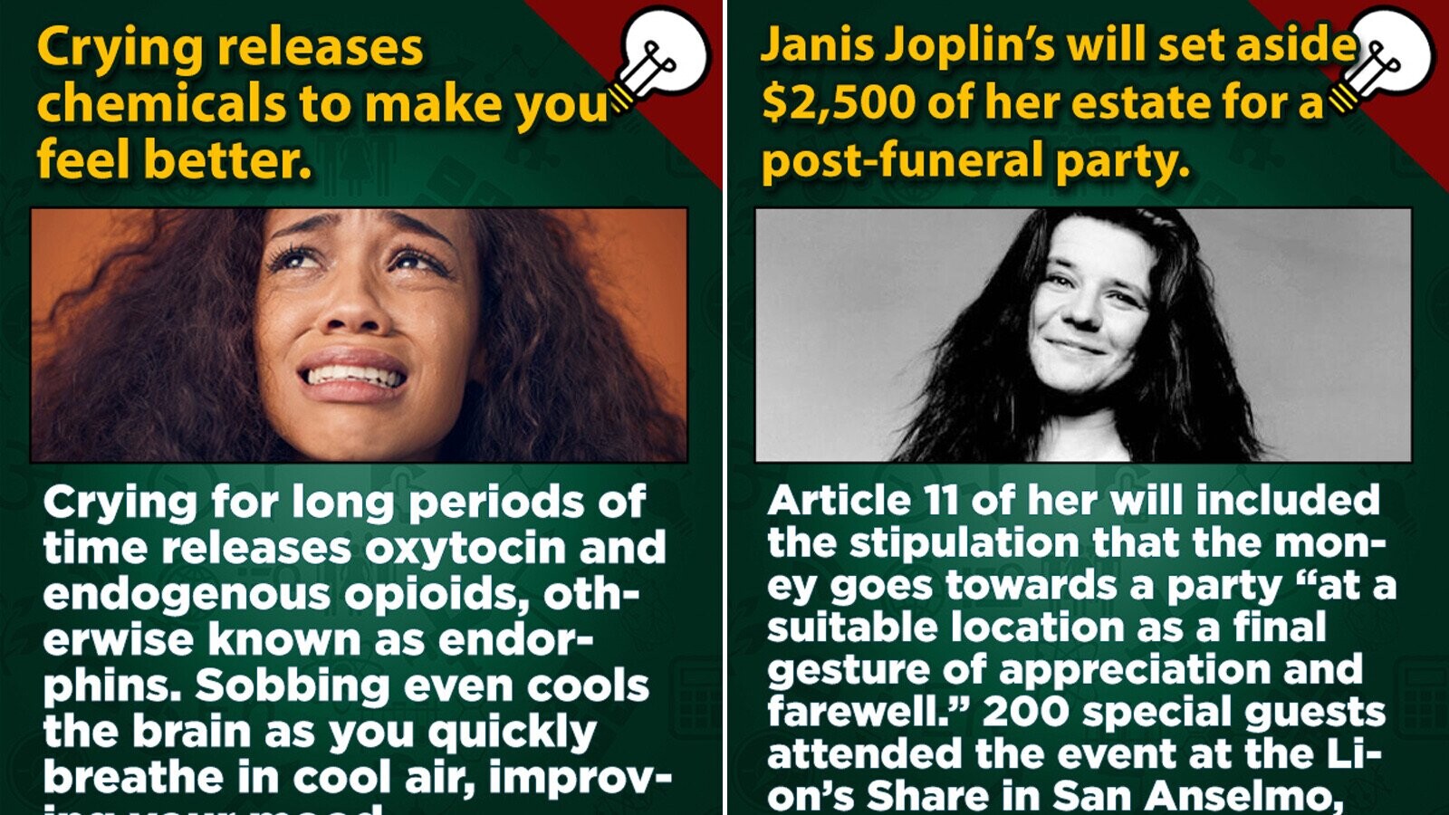 Bet You Didn't Know That! - 19 True Facts That Really Rattled Our Brain ...