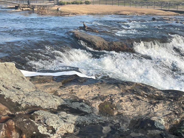 Greater Gadsden Area Tourism to host fly fishing event during spring ...