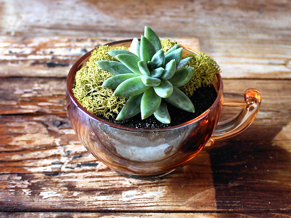 20 Creative DIY Projects Using Vintage Tea Sets