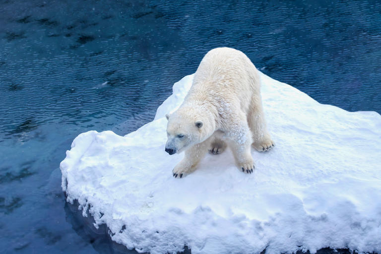 'I’d ask all climate change deniers to read up on research before complaining'