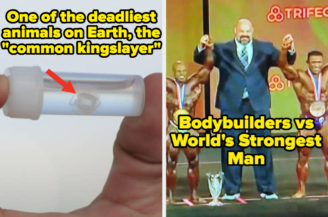 I Just Spent The Past 17 Minutes With My Jaw On The Floor After Seeing ...