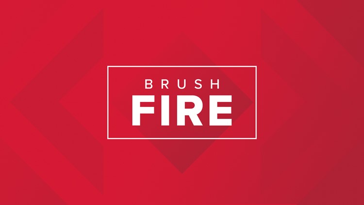 Cal Fire stops brush fire in Pala Mesa, evacuations orders lifted