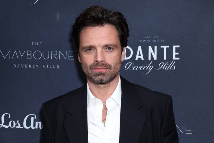 After Sebastian Stan Revealed He’d Been Shunned By His Fellow Actors ...