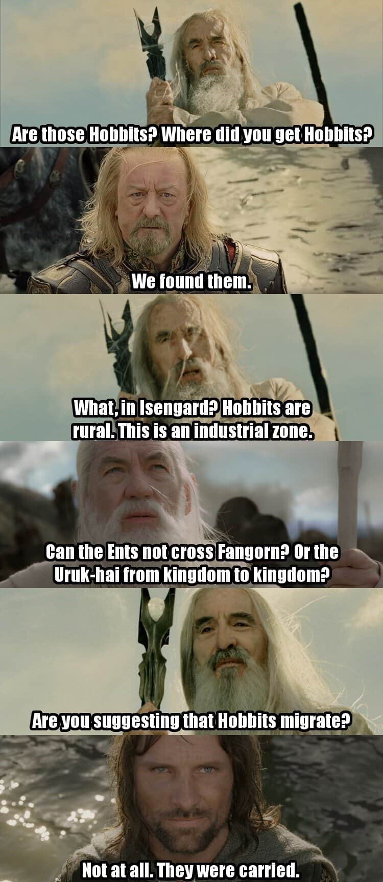 30 Hilarious Monty Python And Lord Of The Rings Mashup Memes True Geeks ...