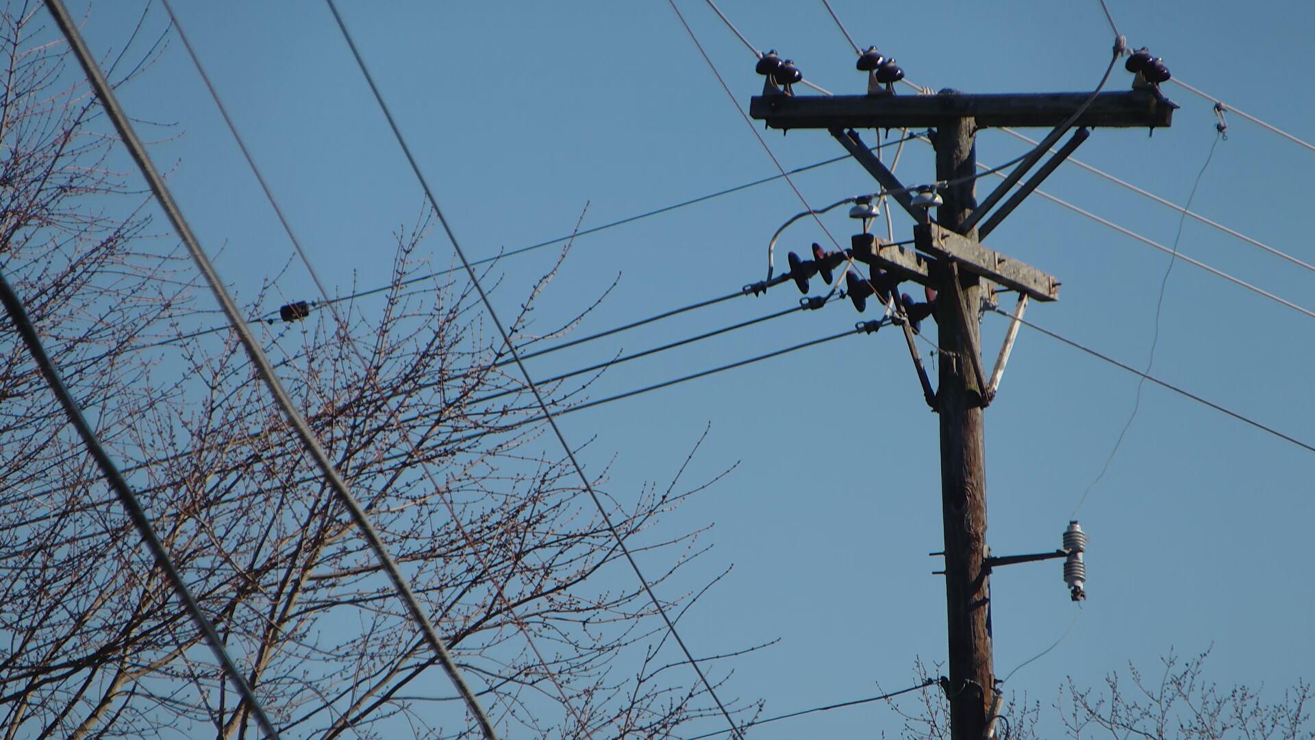 Canoochee EMC announces planned power outage