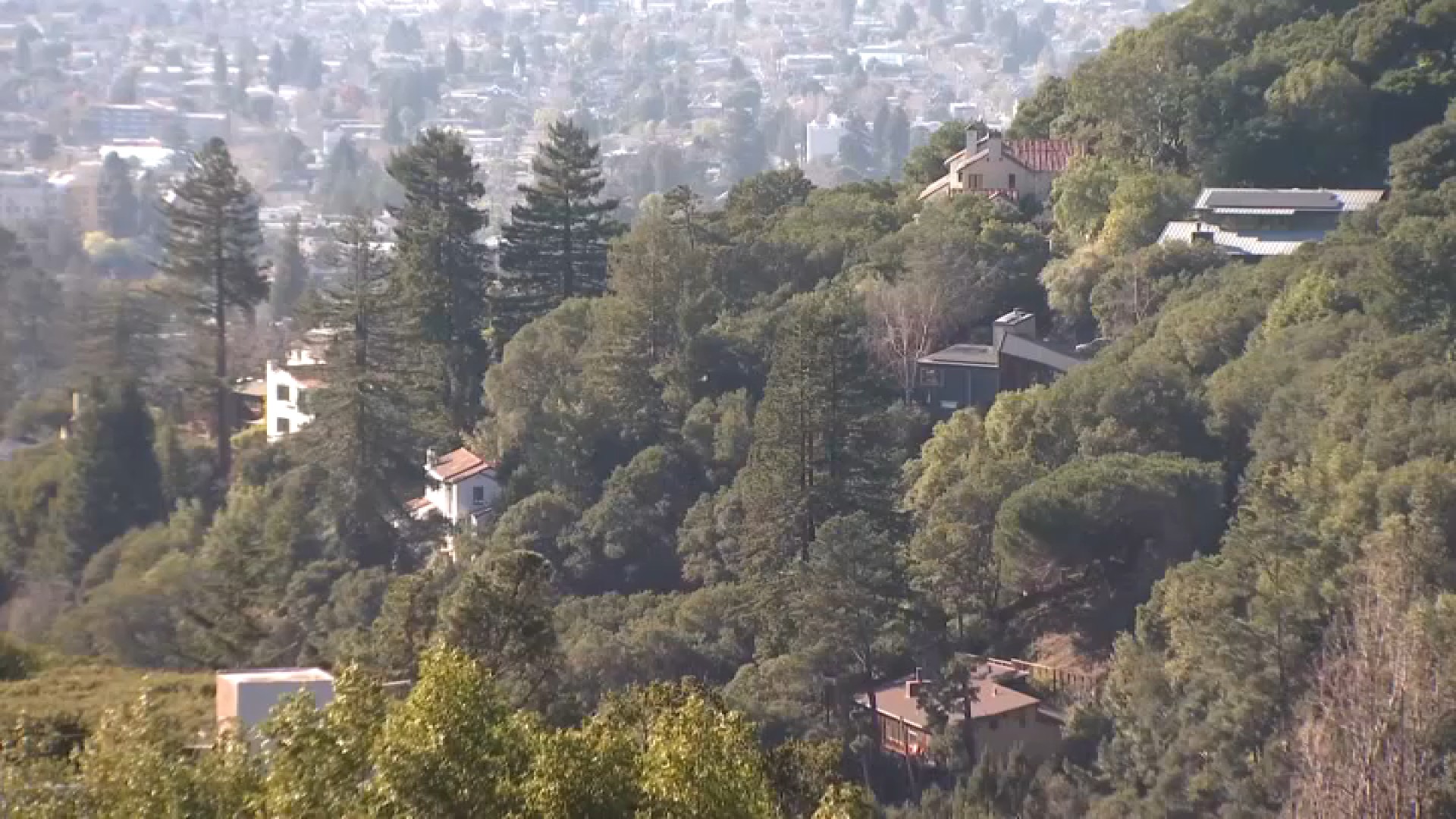 Bay Area residents revisit evacuation plans as fires devastate Southern ...