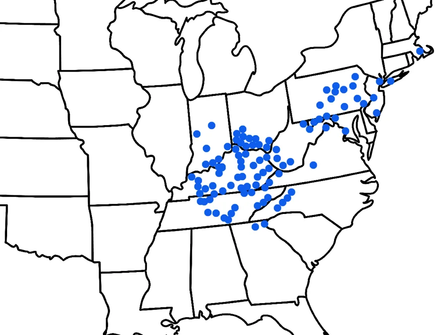 Cicada tracking: When and where will cicadas emerge in New Jersey in 2025?