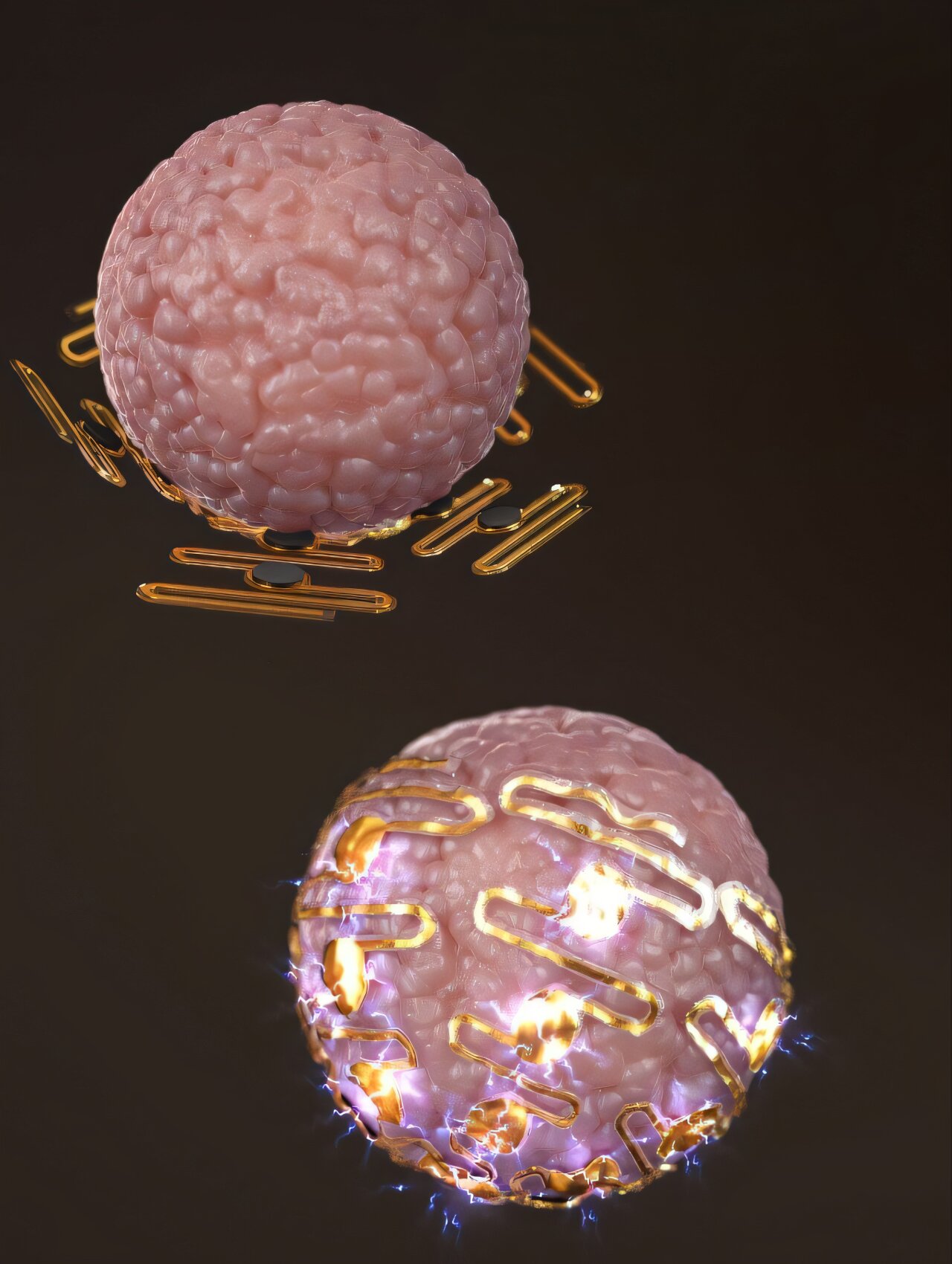 Stretchable Microelectrode Array Enables Non Invasive Signal Monitoring